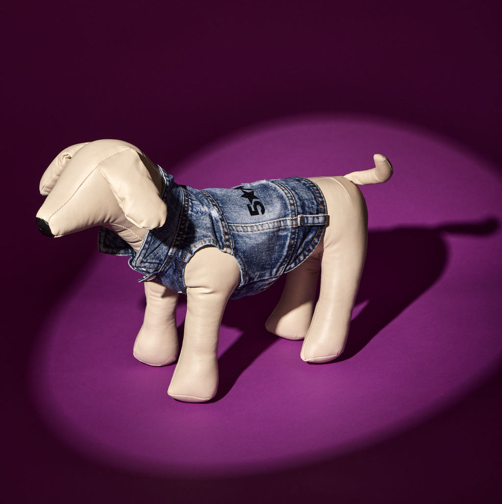 The 5 Star Dog – 5 Star AF